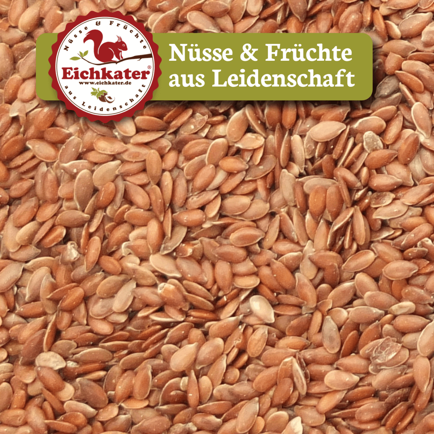 Leinsamen, Leinsaat in Rohkostqualität kaufen